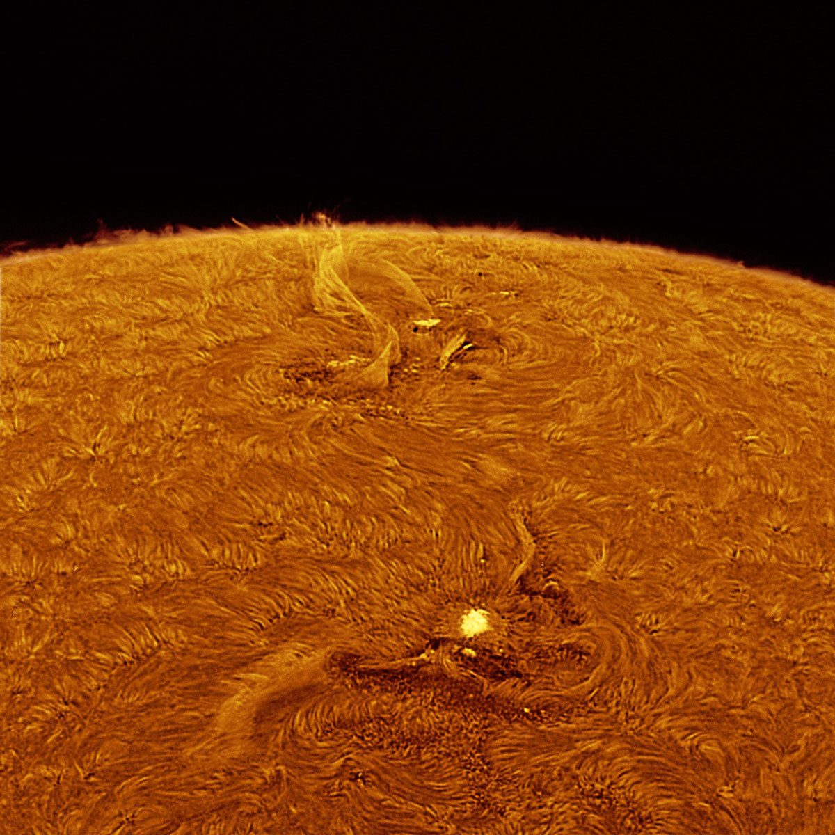 Solar Imaging Experience - Perfect Gift! | First Light Optics